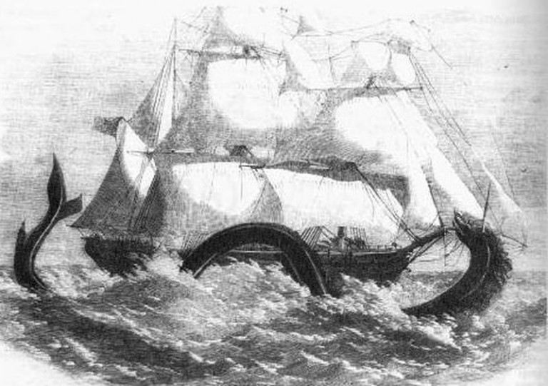 Le serpent-de-mer, mythe ou réalité ? - Cryptozoologia.eu - A la ...